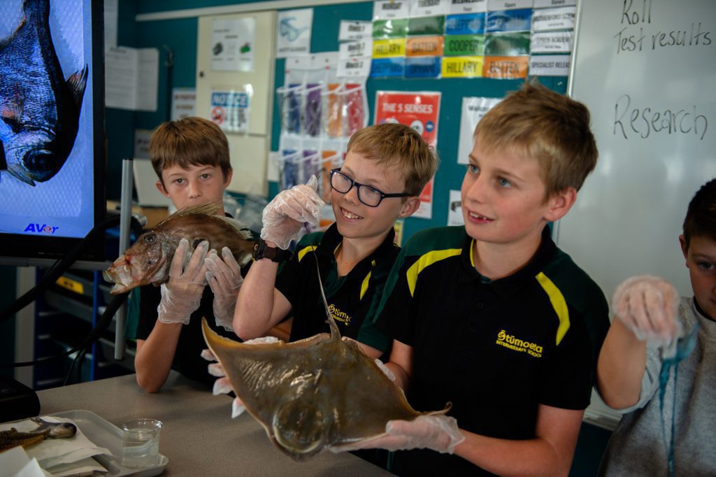 Photo Gallery - Ōtūmoetai Intermediate School