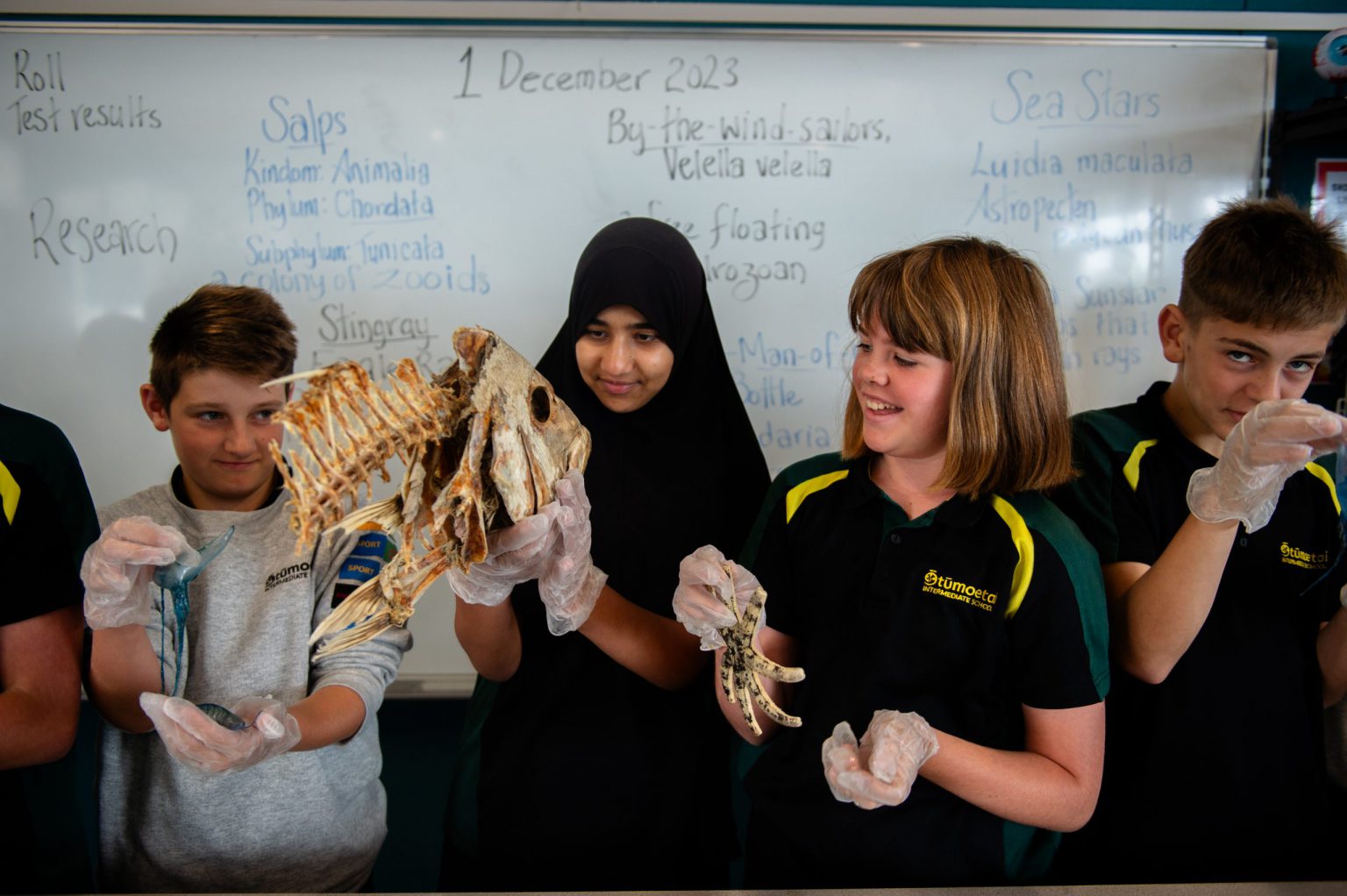 About Ōtūmoetai Intermediate - Ōtūmoetai Intermediate School